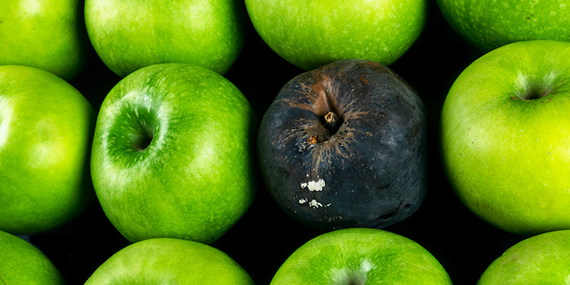 Exit of Apple's security chief offers lessons for security professionals